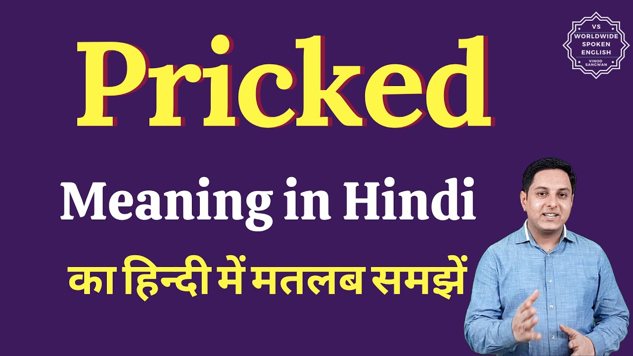 Pricked meaning in Hindi | Pricked ka matlab kya hota hai | English ...