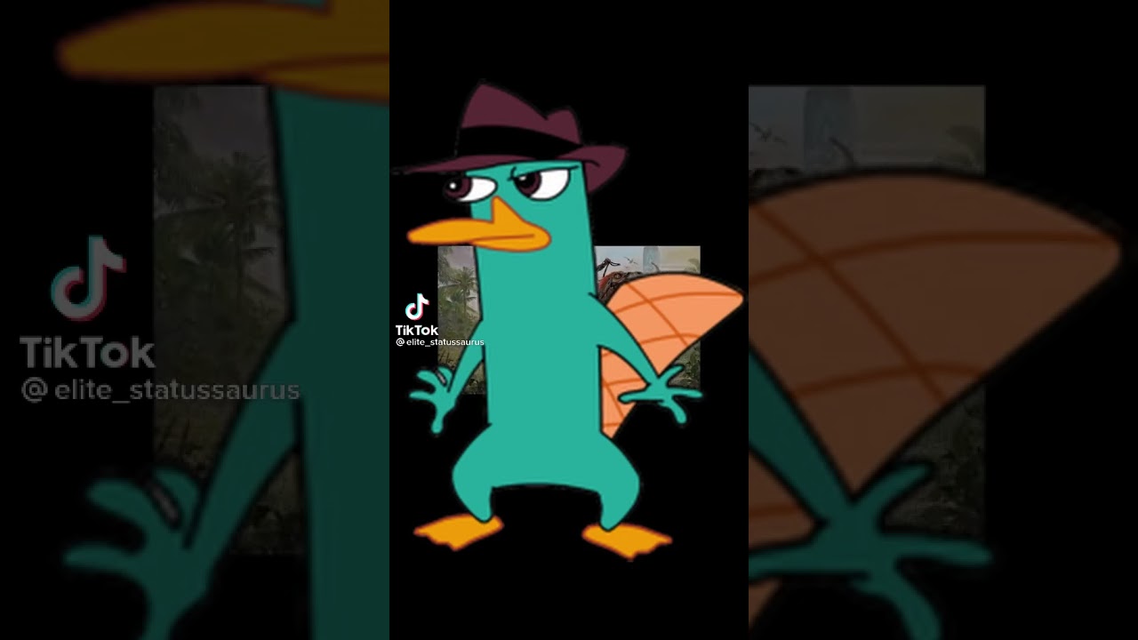 flying perry the platypus - YouTube