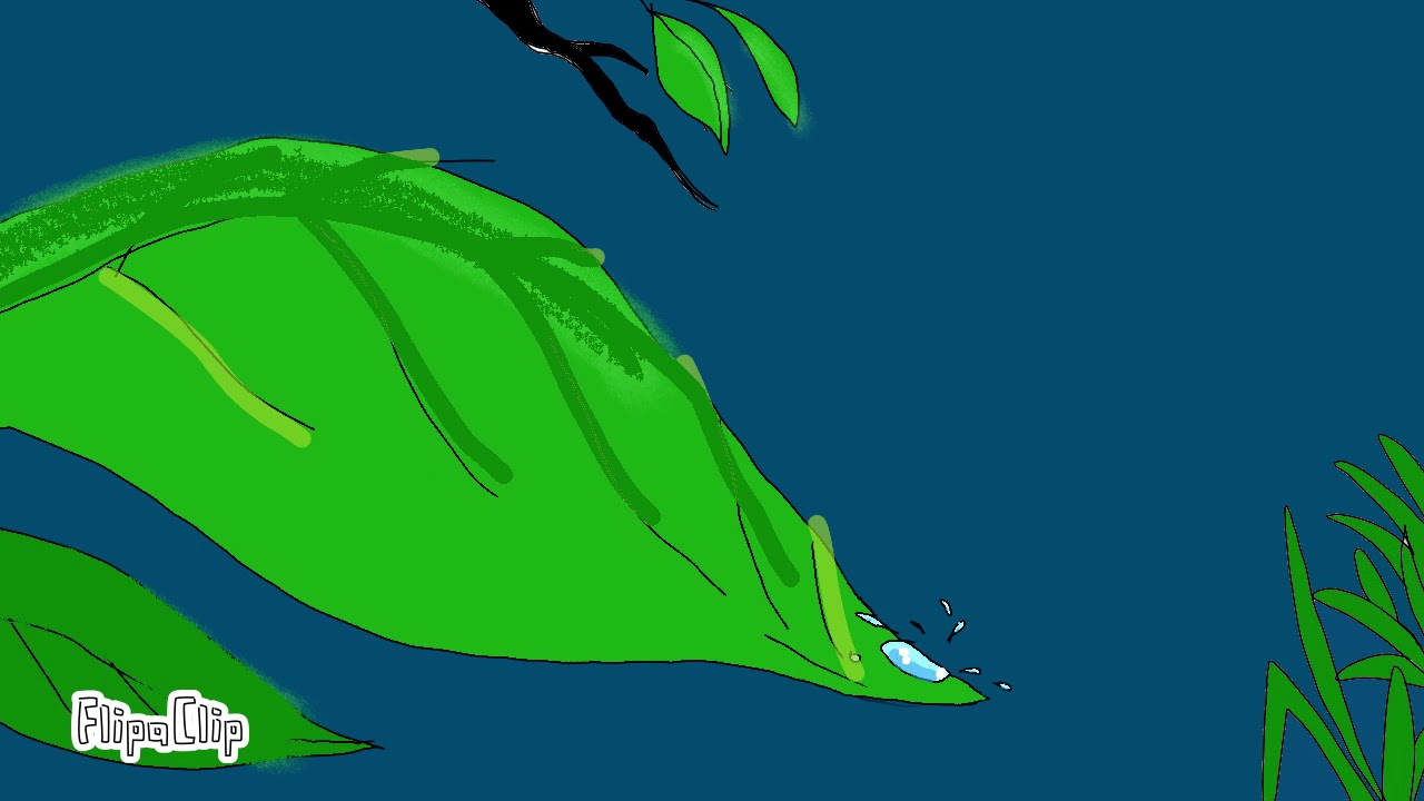 water drops falling on leaf animation with flipaclip - YouTube