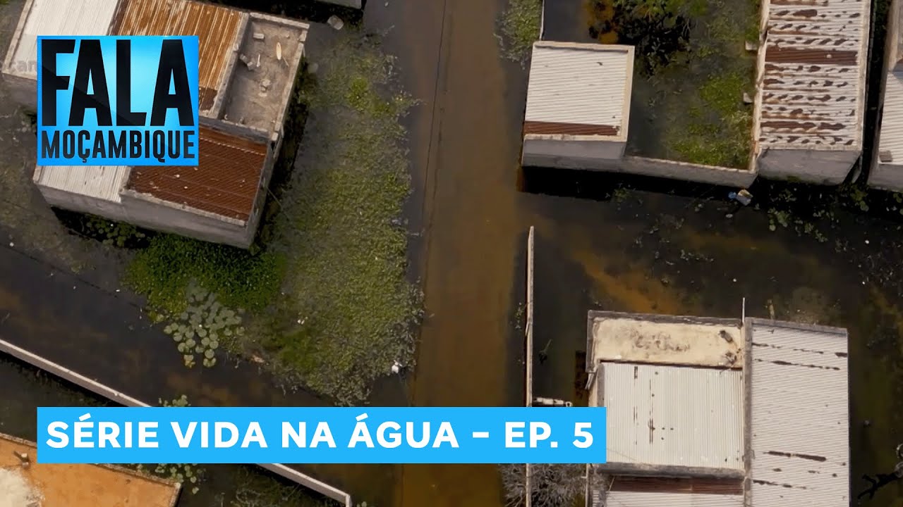 #VidaNaÁgua: Moradores das áreas alagadas recordam-se dos tempos em que seus bairros eram ...