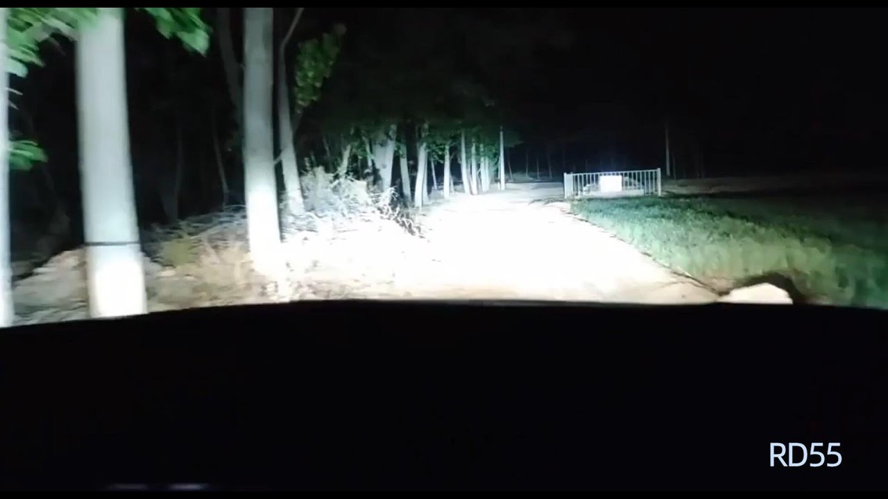 Strongest 360 LED Lighting RD55 H1 H7 H11 9005 Bulbs for Car Projector ...