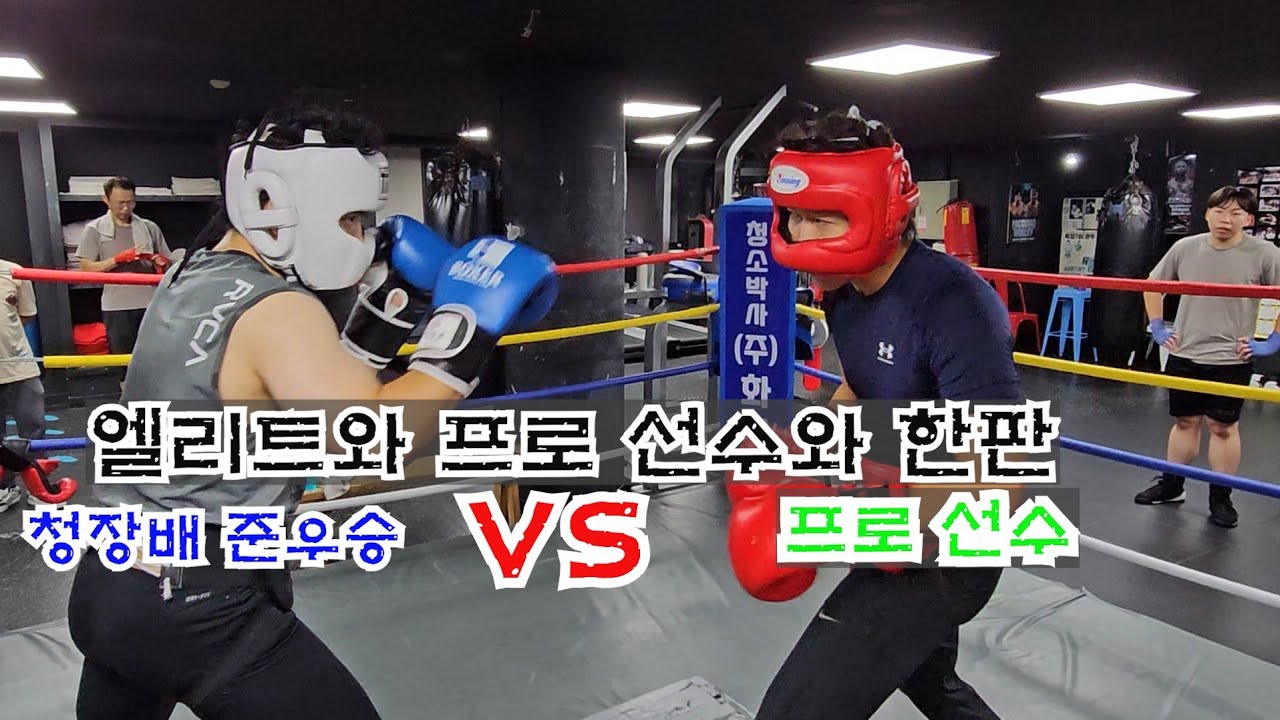 엘리트 선수와 프로 선수와의 스파링 스타일이 비슷하네 Boxing 권투 생활복싱 엘리트 생활복싱 프로복싱 스파링
