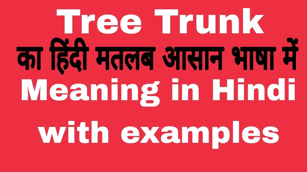 Tree Trunk Meaning in Hindi///Tree Trunk Meaning का क्या अर्थ या मतलब ...