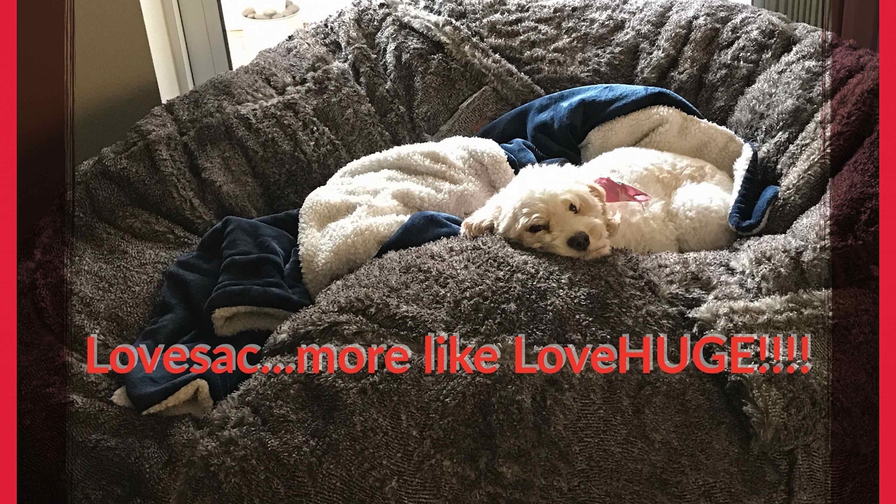 LOVESAC SUPERSAC unboxing - YouTube