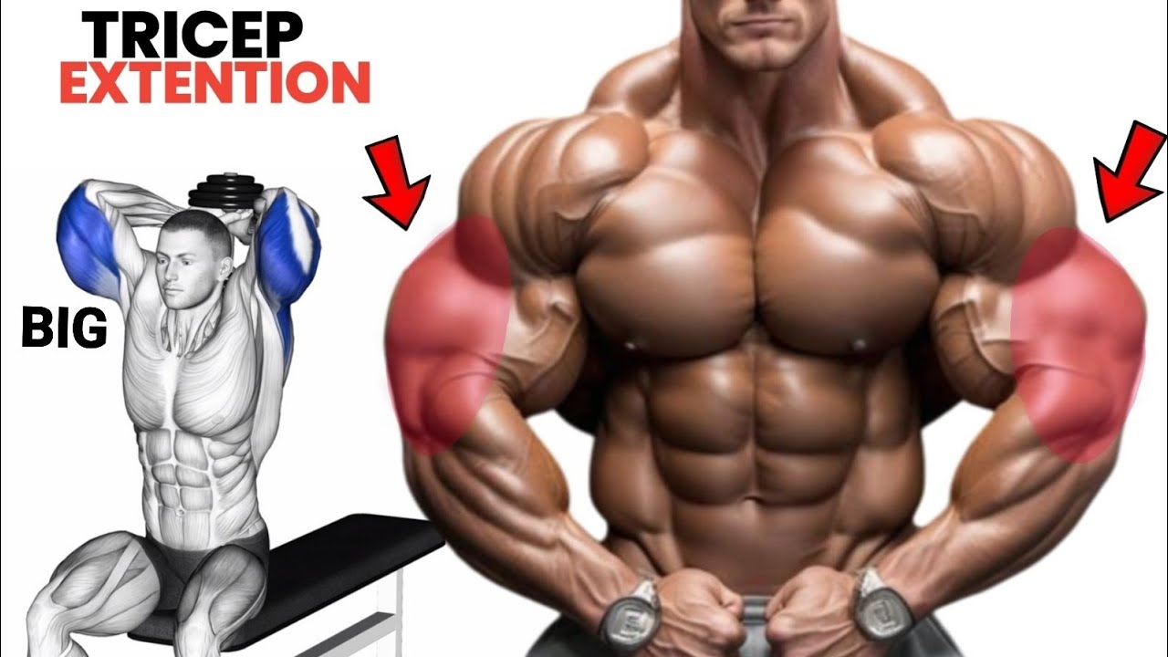 Best 12 Top Triceps Exercises To Build Bigger Tricep Muscle | Best ...