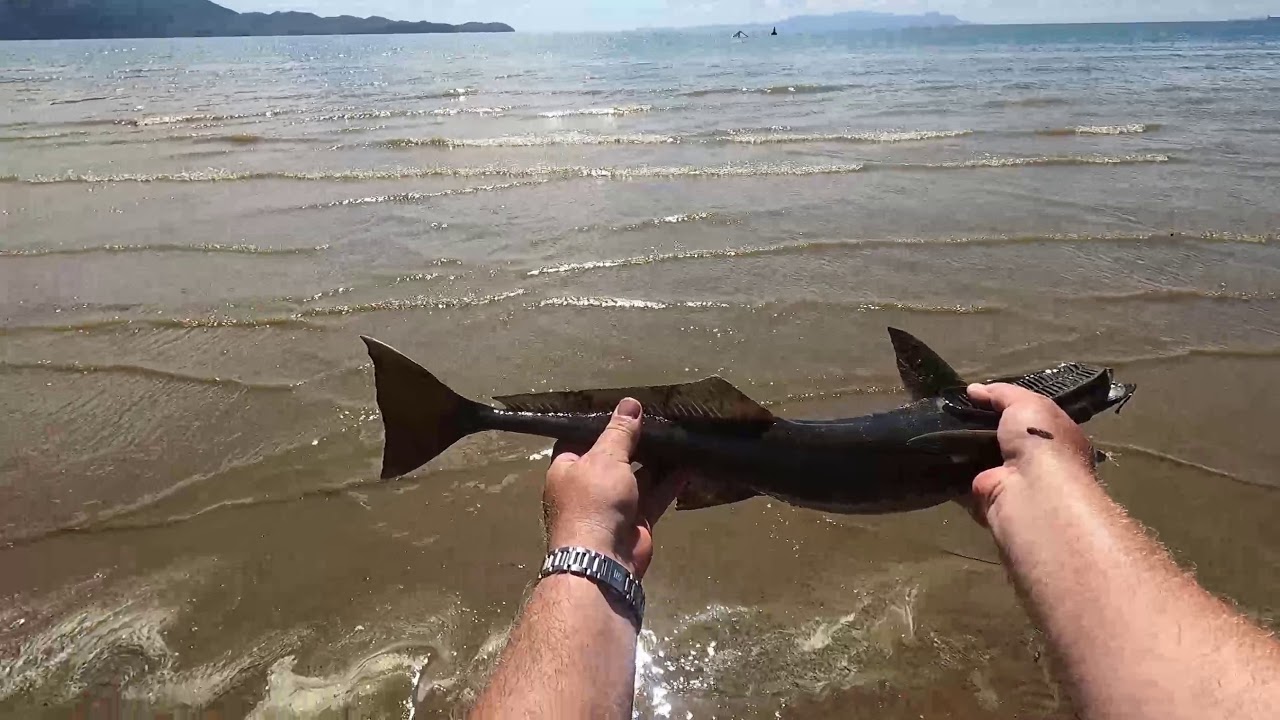 Townsville Fishing - YouTube