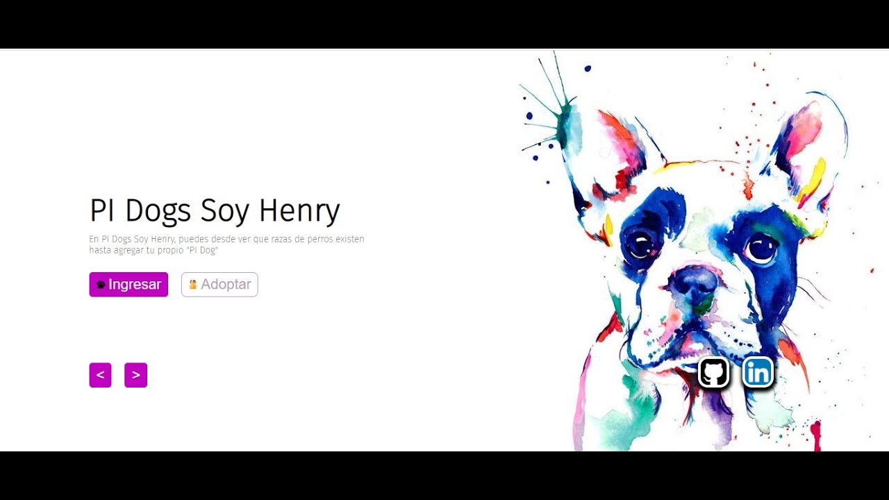 PI Dogs Soy Henry - YouTube