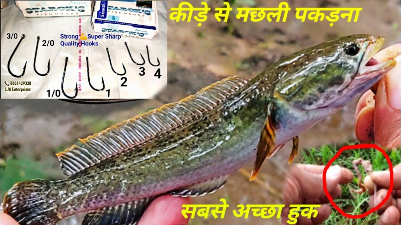 How to fish with live worms||New Best quality Hooks for Bait Fishing ...