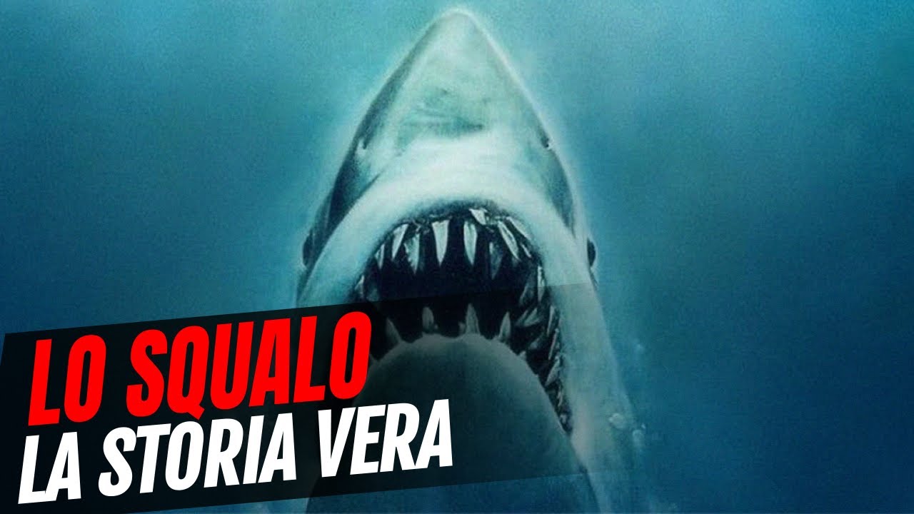 Lo squalo: la storia vera che ha ispirato il film di Steven Spielberg ...