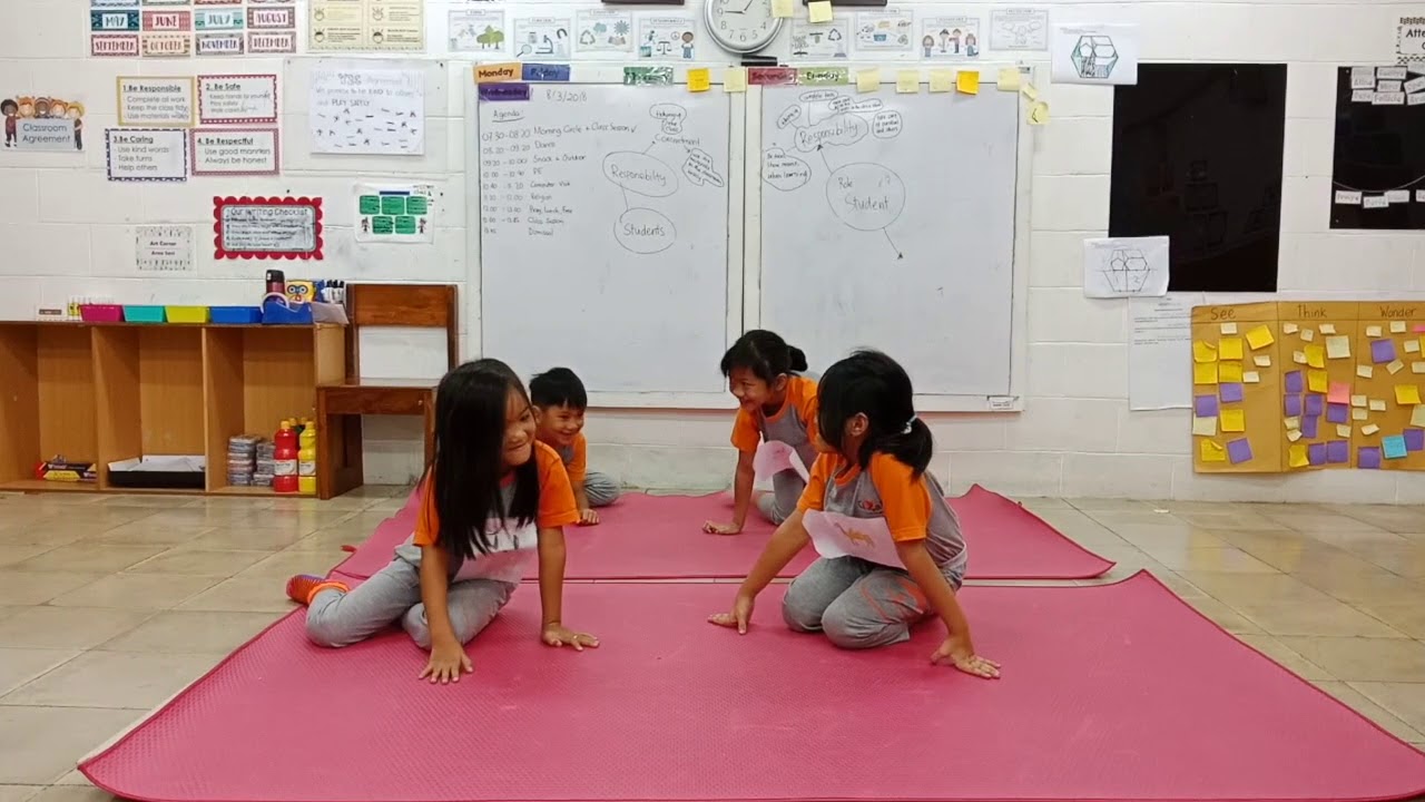 Y2C Life Cycle Dance E - YouTube