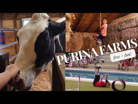 Things to do at PURINA FARMS in Gray Summit, Missouri 💕🐶🐄 - YouTube