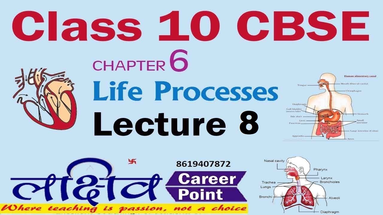 Class 10 SCIENCE | CHAPTER 6 | Life Processes | Lecture 8 | HUMAN HEART ...