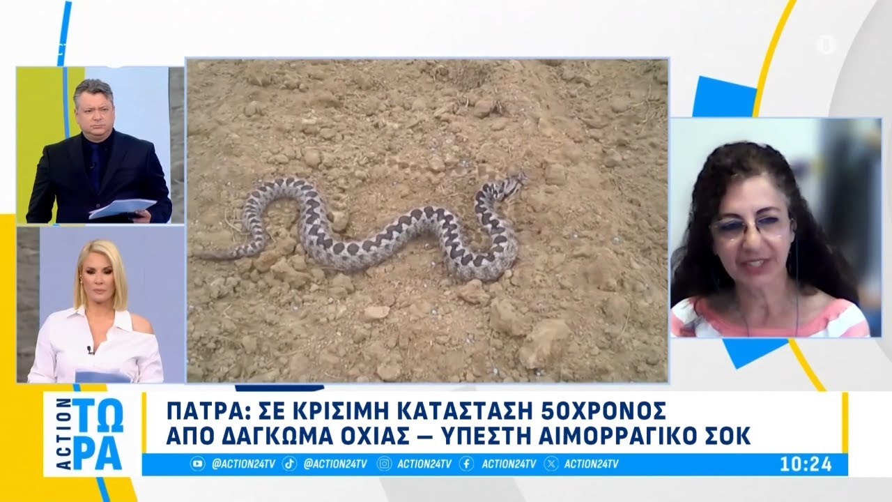 Σε κρίσιμη κατάσταση 50χρονος από δάγκωμα οχιάς, τι πρέπει να κάνουμε ...