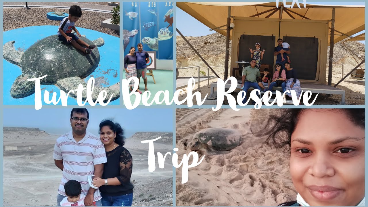 TURTLE BEACH RESERVE TRIP l TURTLE BEACH l TURTLE RESERVE OMAN l TURTLE ...