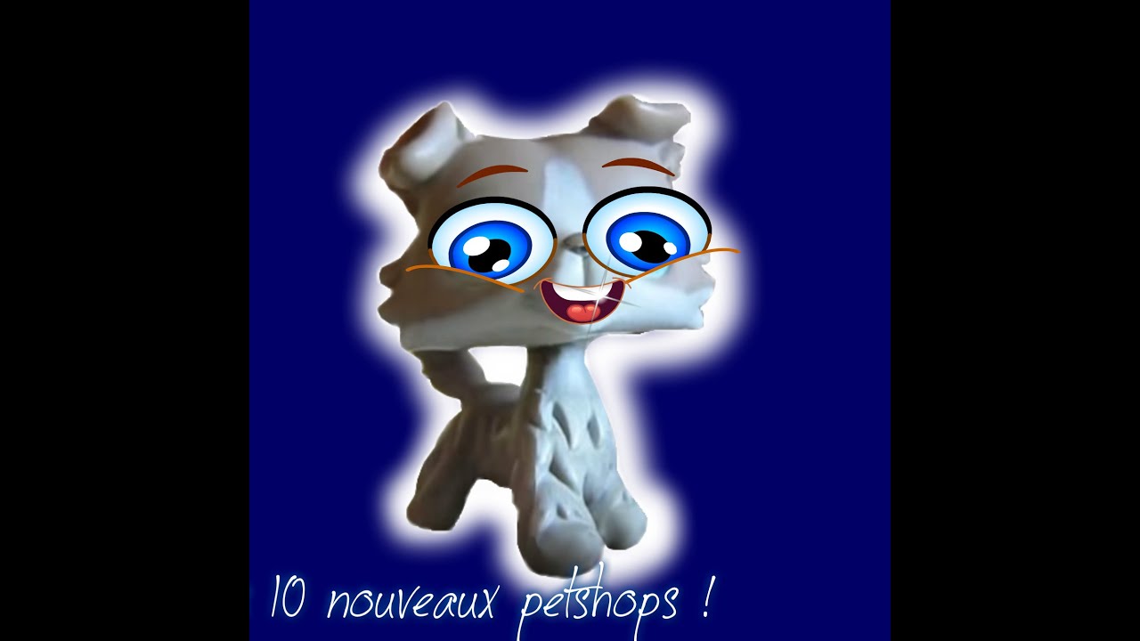 ¤ LPS : Mes 10 Nouveaux Petshop du Bon-coin ¤ - YouTube