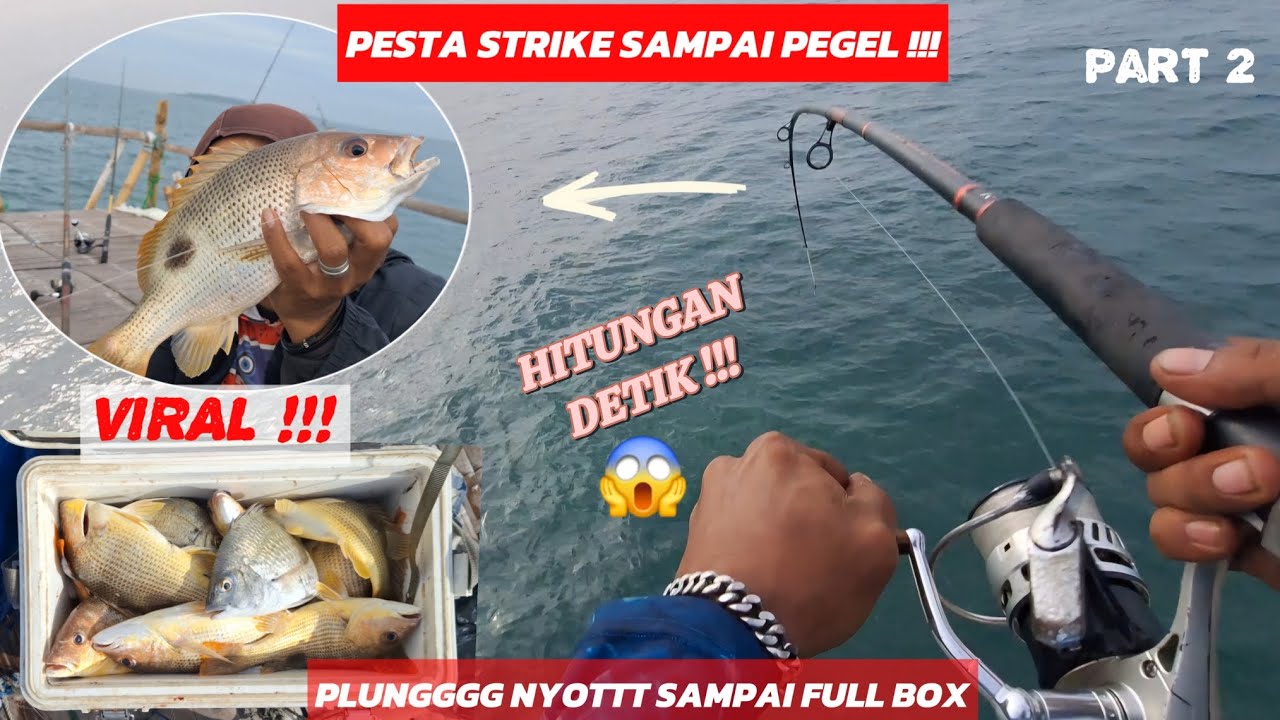FULL STRIKE FULL SENYUM SAMPE FULL BOX || BAGAN BABE MAMUNG TANJUNG ...
