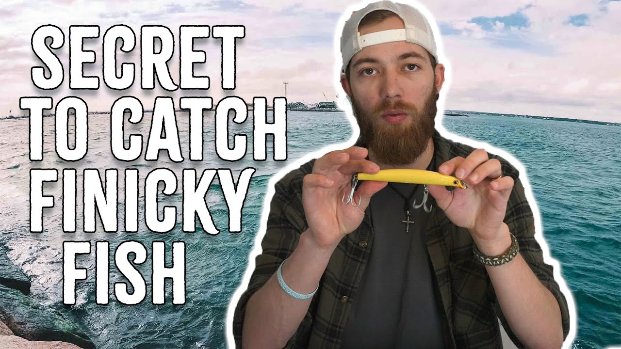 Secret To Catching Finicky Fish - Striped Bass Fishing - Surf Fishing ...