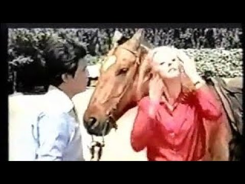Por un Caminito Leo Dan - \