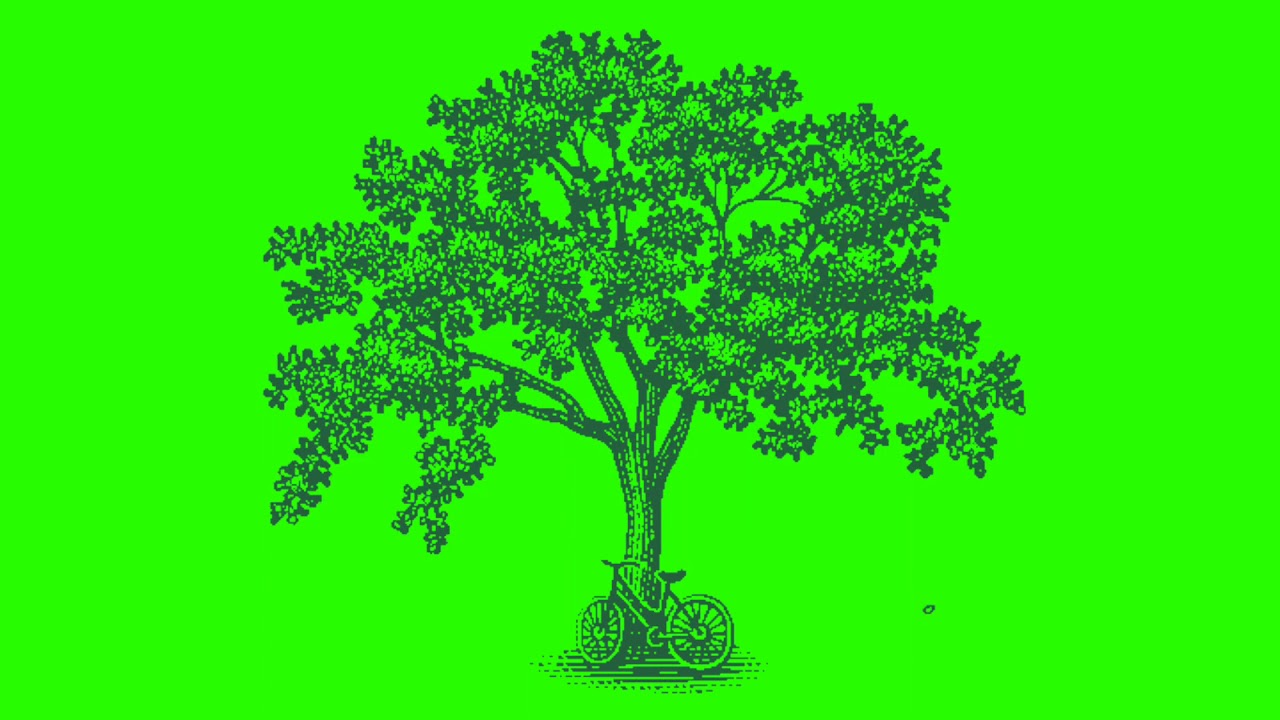 Tree Green Screen Video Effect/Plant Green Screen Video Effect VFX ...