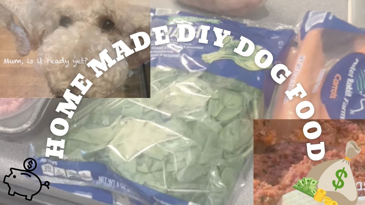 DIY home made food for dogs | Standard Poodle healthy meal recipe - YouTube
