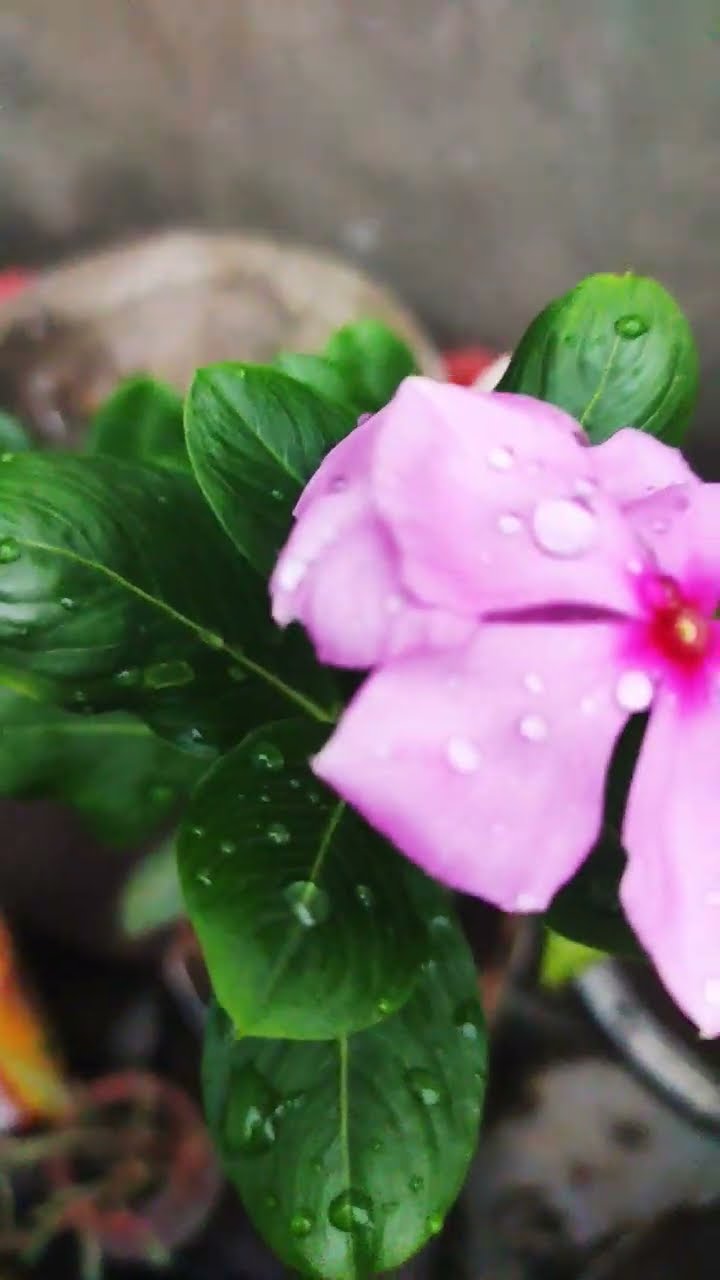 6 June 2024 - YouTube