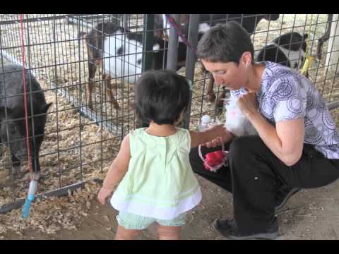 2015 Kay Kent Award nominees video - YouTube