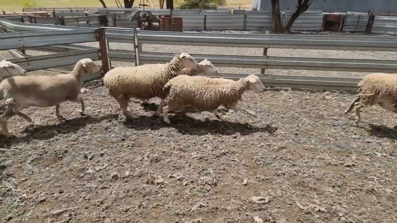 NMS: Knipe Farming YT2 - YouTube