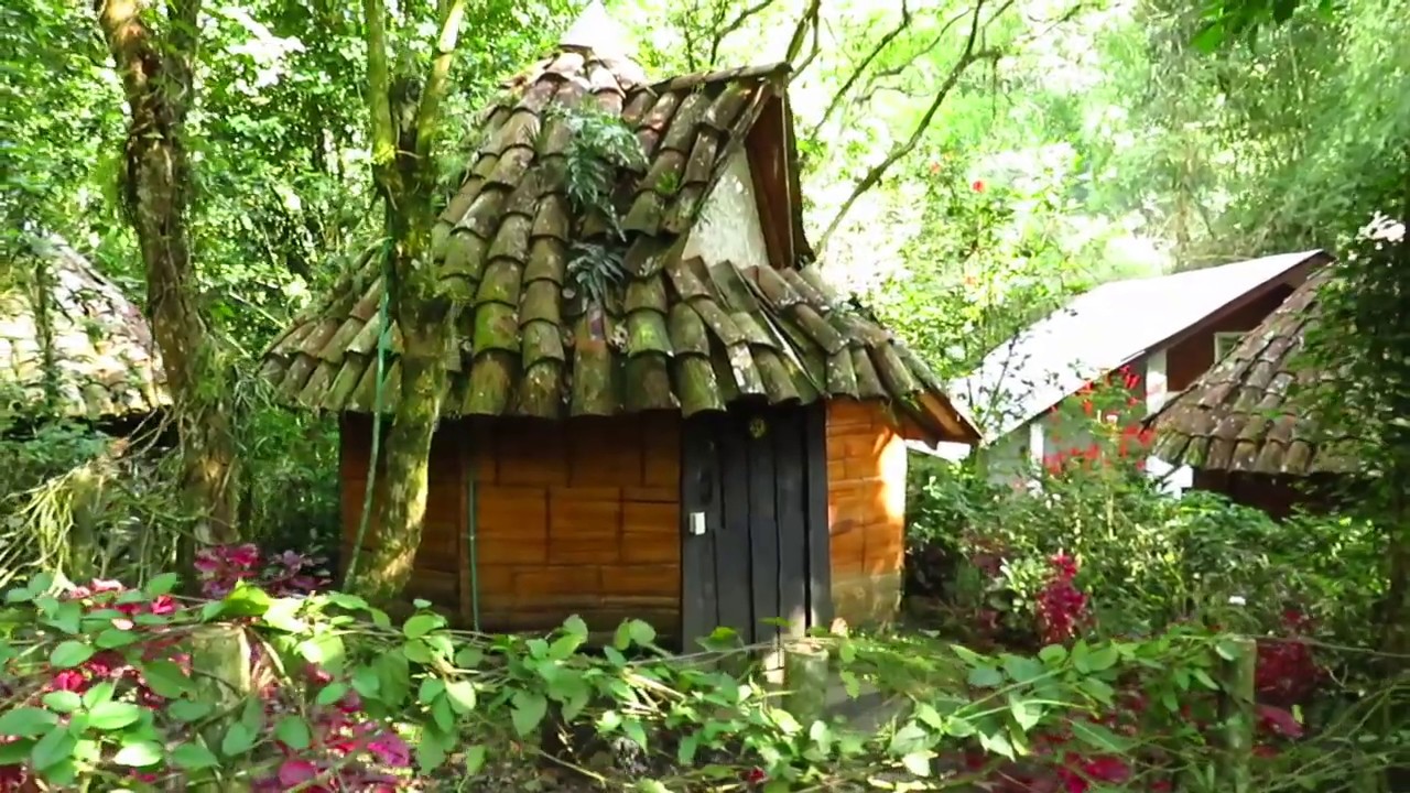 Pance (Cali)-Valle de Cauca-Colombia - Febrero 2020 - YouTube