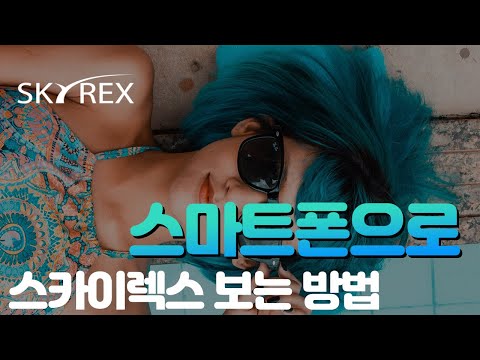 스마트폰으로 스카이렉스 보는 방법 SKYREX CCTV DVR