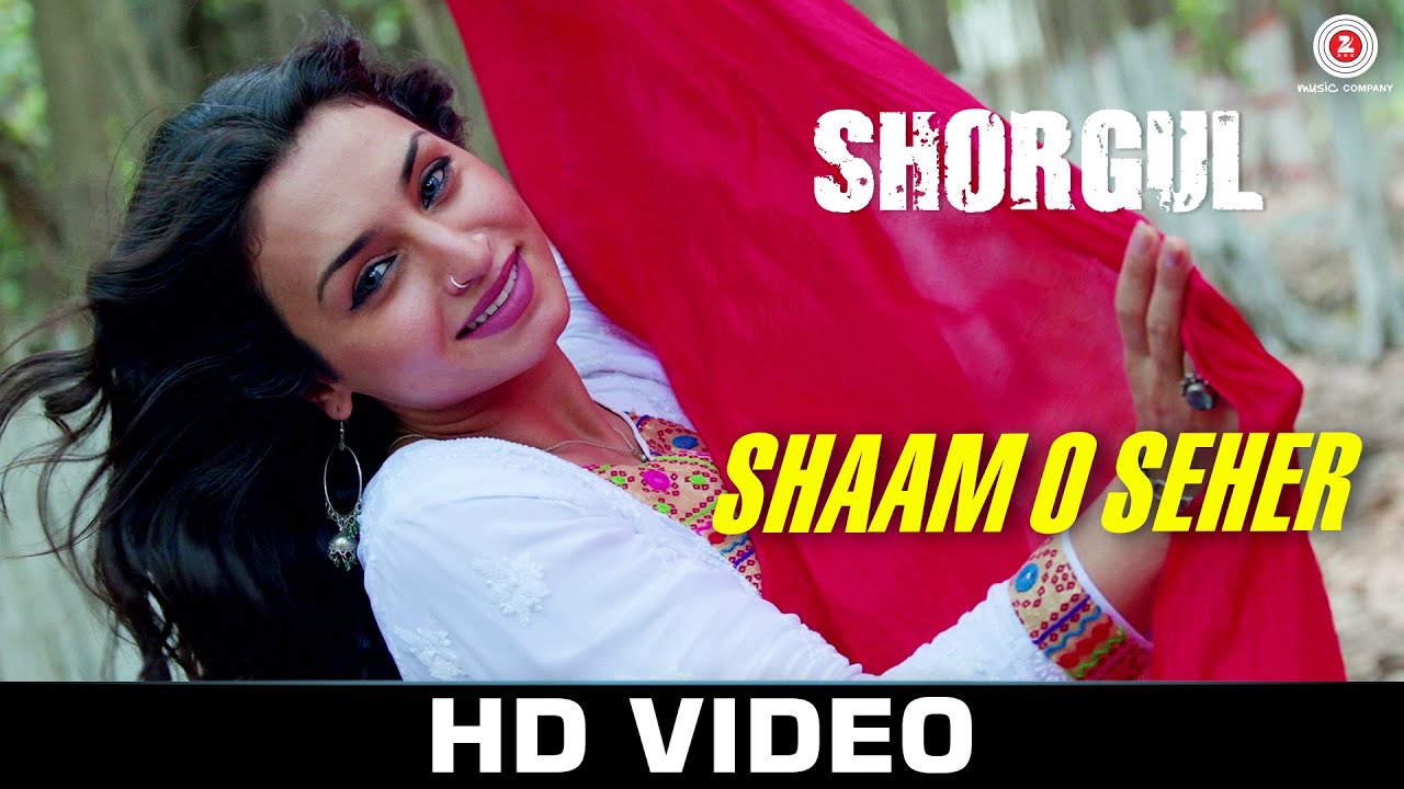 Shaam O Seher - Shorgul | Suha Gezen, Aniruddh Dave & Hiten Tejwani ...