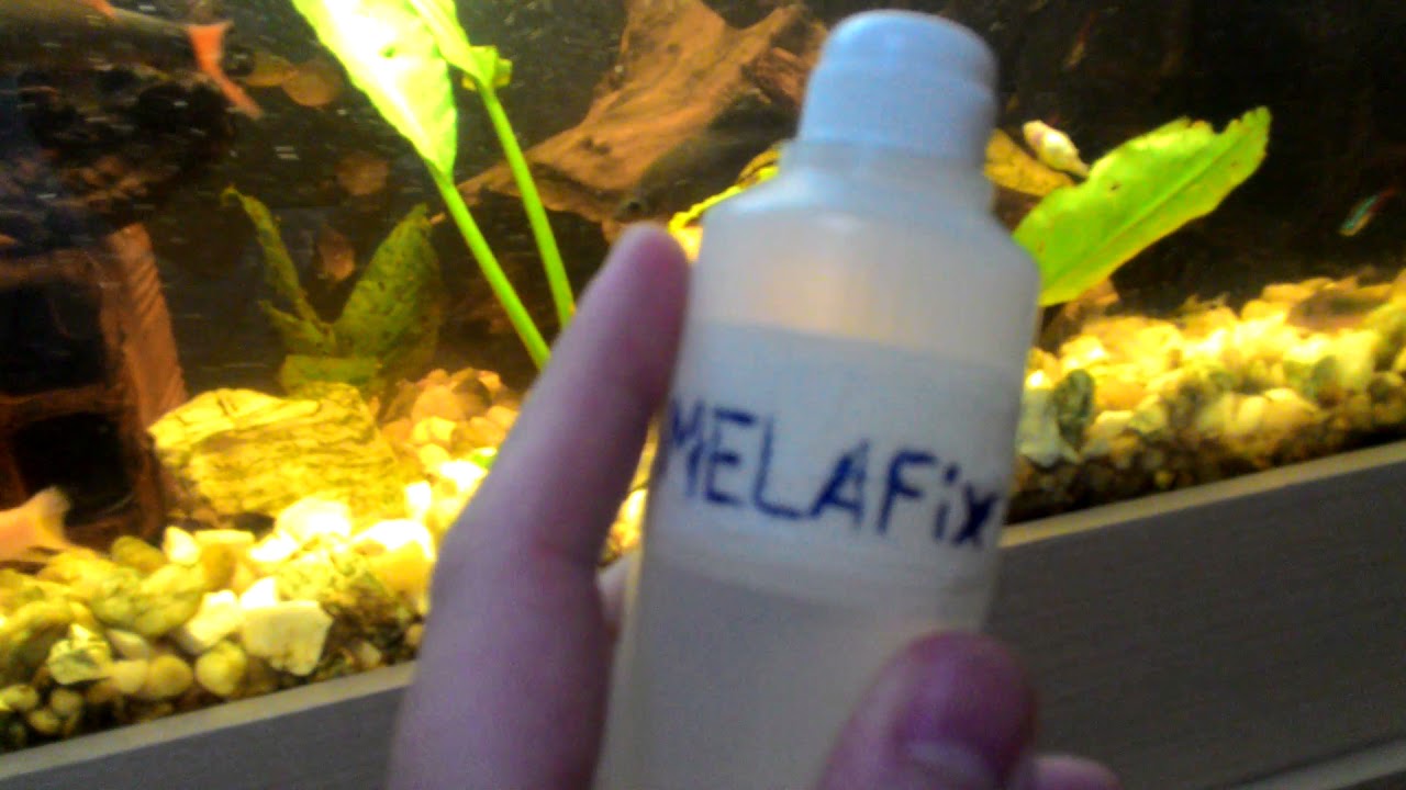 Melafix - Como usar de forma correta e os beneficios que traz para seus ...