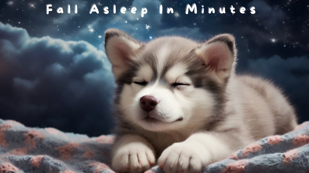 Lullabies for babies to go to sleep to : Fall asleep in minutes : Baby ...