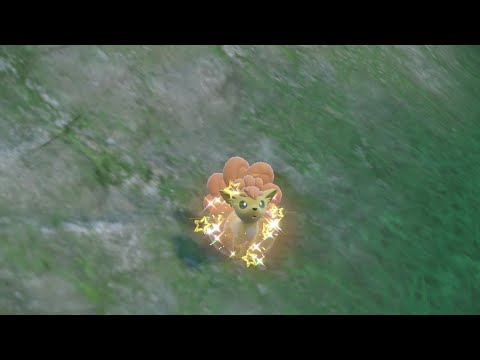 Shiny Vulpix - Mass Outbreak | Pokemon Scarlet And Violet - YouTube