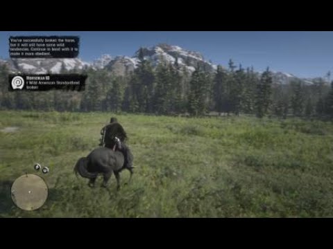 Red Dead Redemption 2 - RDR2 - HORSEMAN 10 CHALLENGE - WILD AMERICAN ...