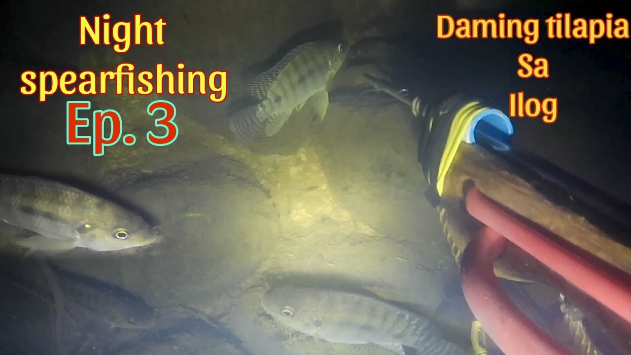 NIGHT SPEARFISHING PHILIPPINES / NAPAKA DAMING TILAPIA SA ILOG O SAPA ...