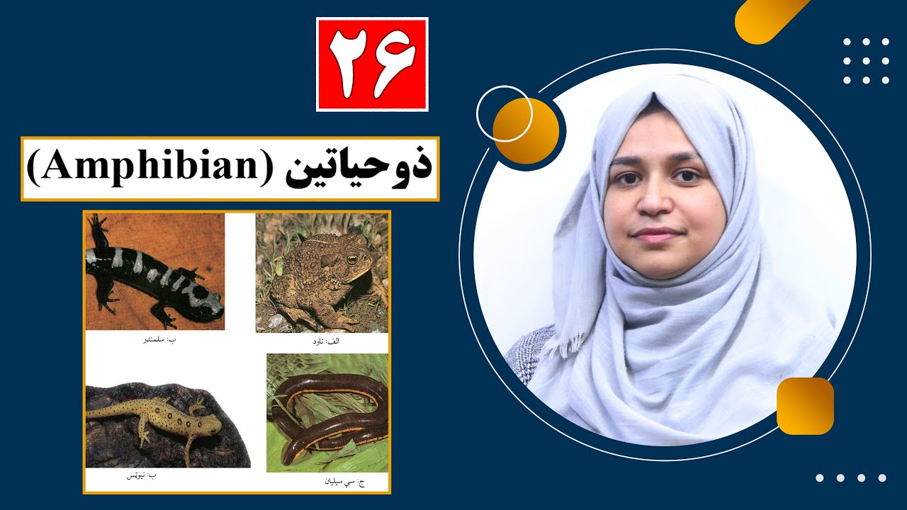 Class 11 - Biology |Amphibian - ذو حیاتین| Lesson 26 - YouTube