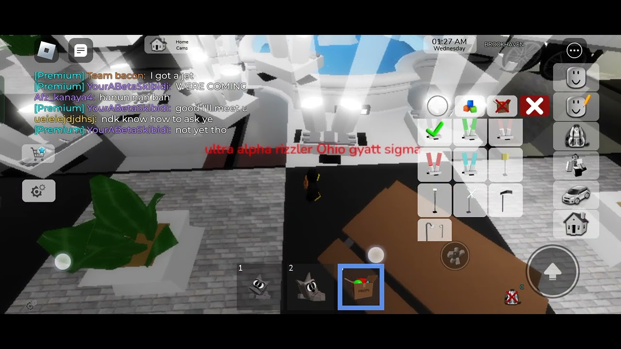 we ruin the Brookhaven spawn -roblox- -Brookhaven- - YouTube