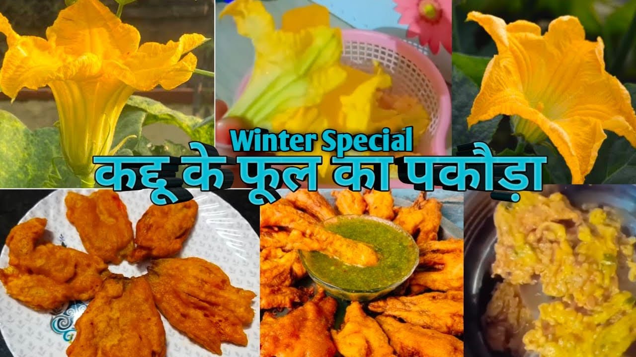 कदु के फुल का पकौड़ा || Winter Special pakoda || kaddu ke phool ke ...