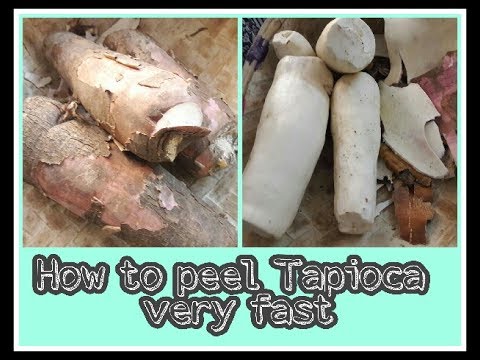 How to peel Tapioca | How to peel Cassava very fast - YouTube