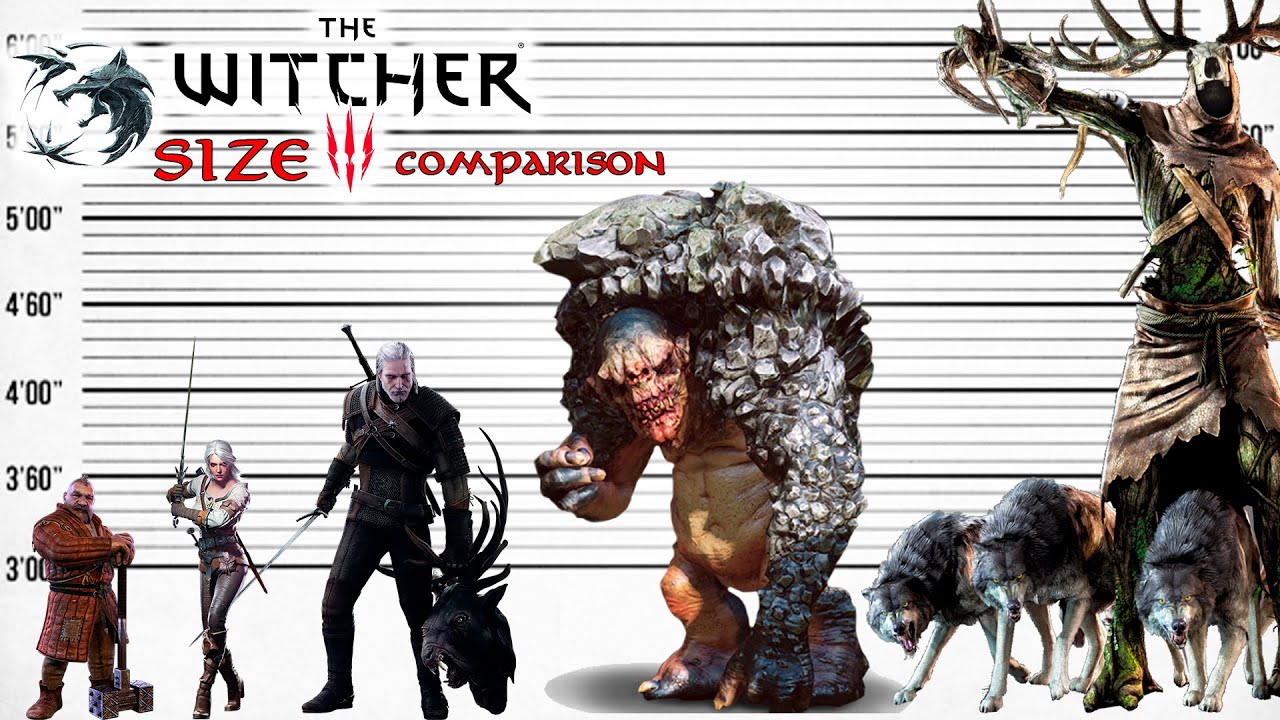 Witcher 크기 비교 | Witcher 게임의 가장 큰 괴물 | 만족스러운 영상 - YouTube