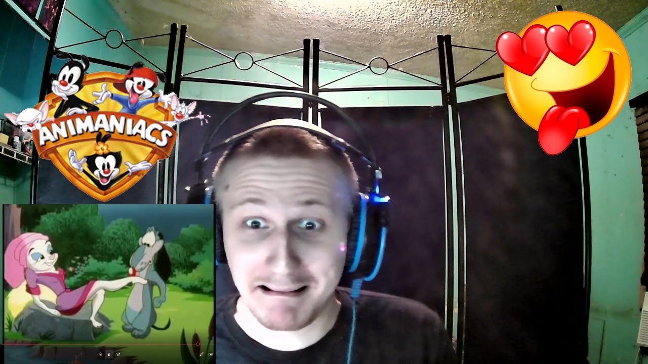 The Ultimate Innuendos and Adult Jokes of Animaniacs Reaction - YouTube