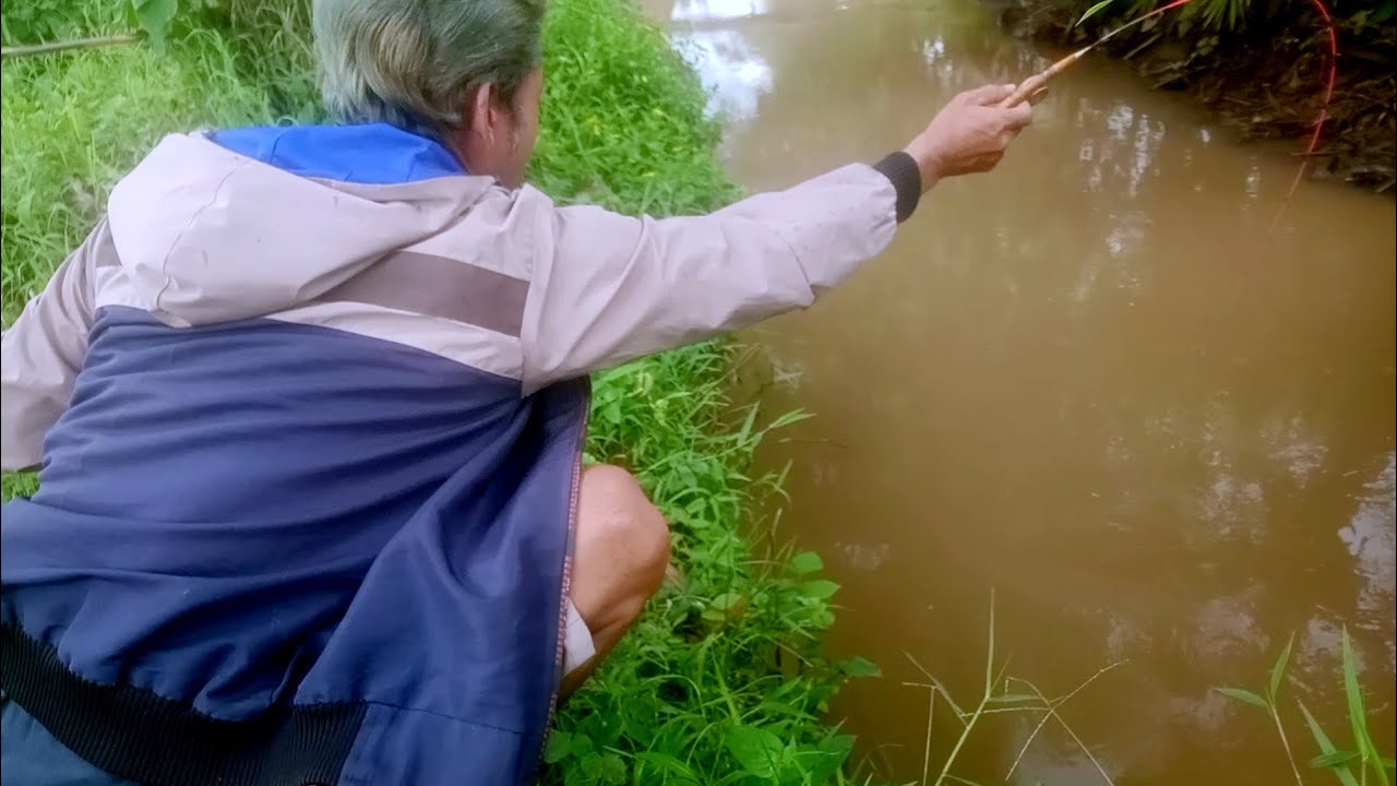 Mancing wader full strek - YouTube