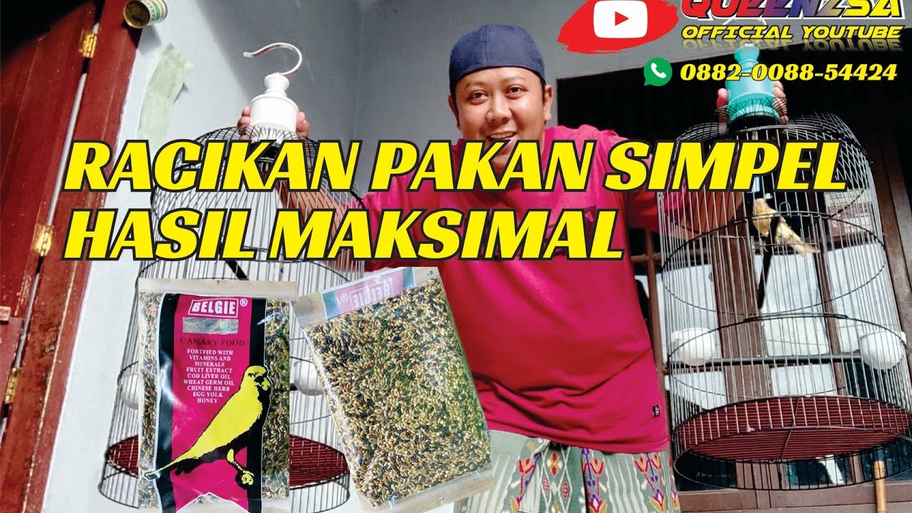 RACIKAN PAKAN SIMPEL BIKIN PAUD CEPAT RIWIK - YouTube