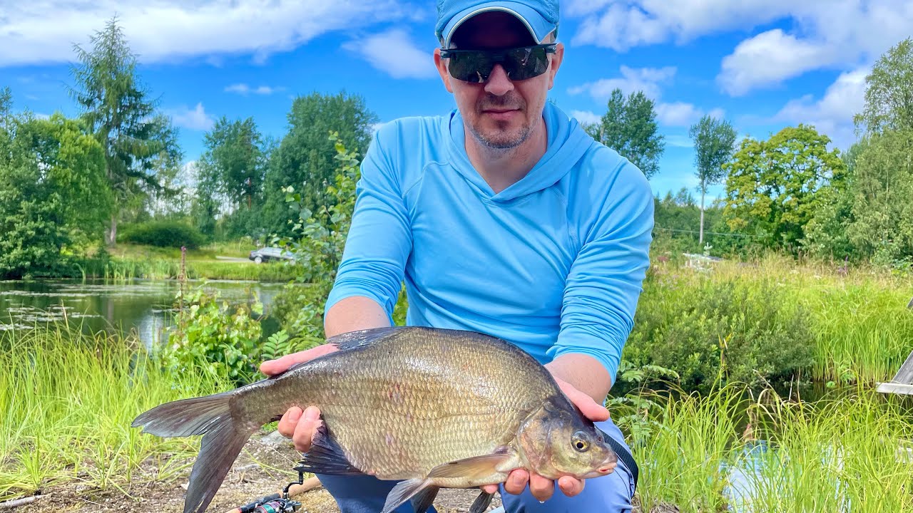 Craft-full bite from a large bream in Sweden - YouTube