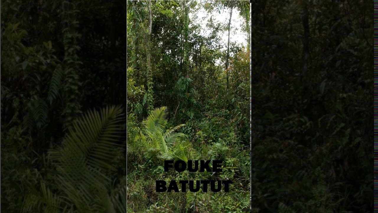 Fouke - Batutut [full album] - YouTube