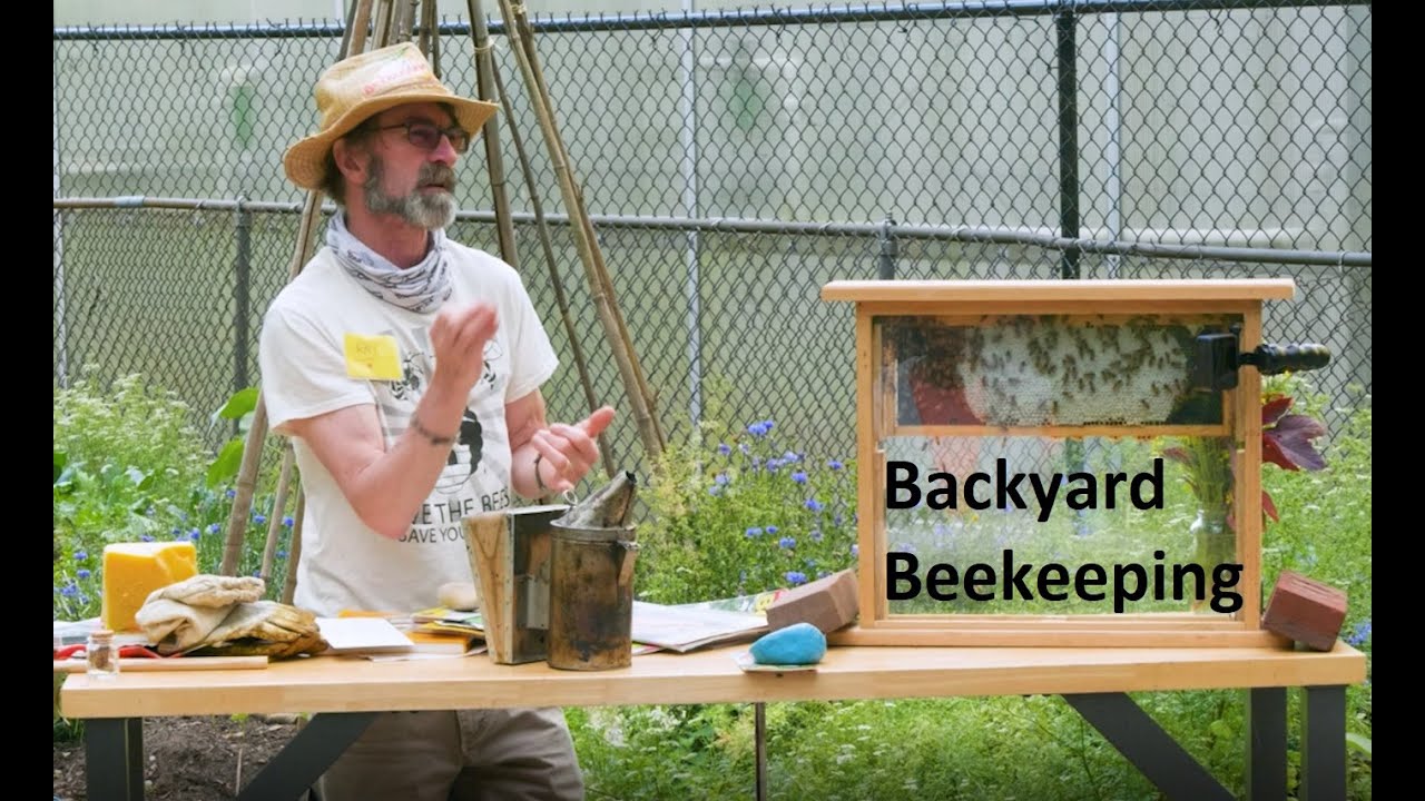 Backyard Beekeeping Workshop - YouTube
