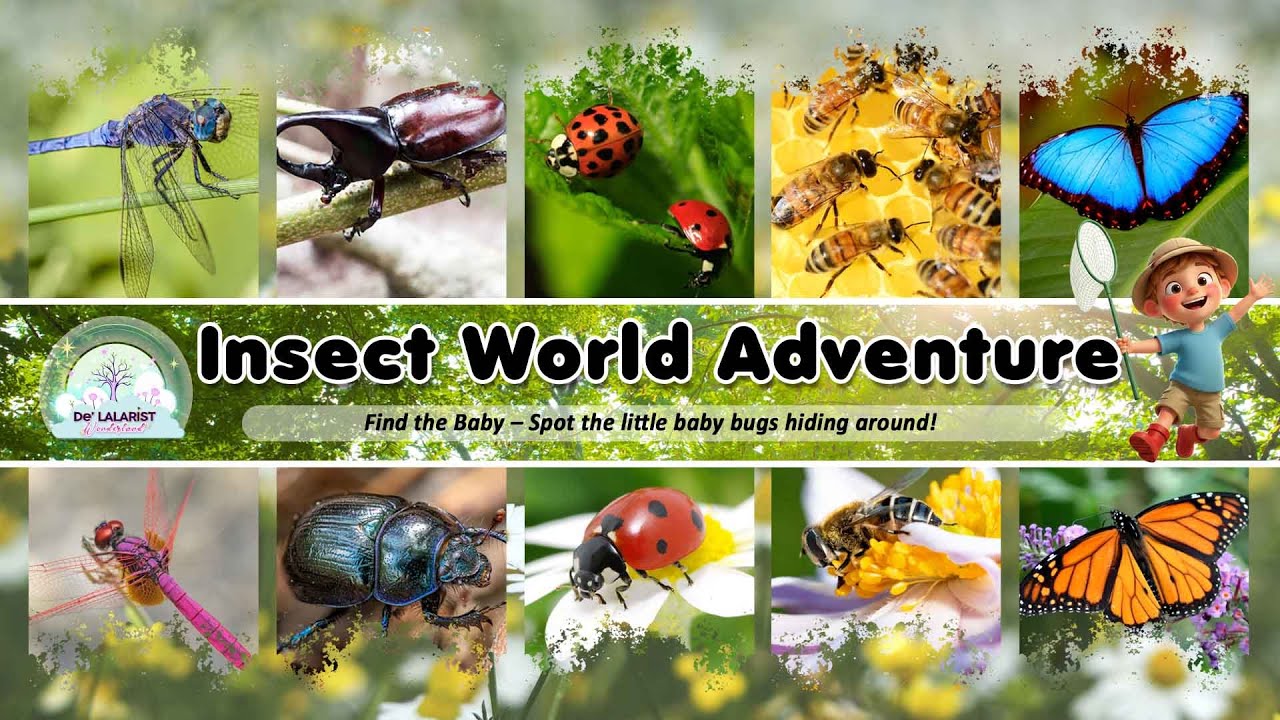 Tiny Bugs, Big Fun! – Kids Learning Game - Find the Baby 🐞🦋🦗🐜 - YouTube