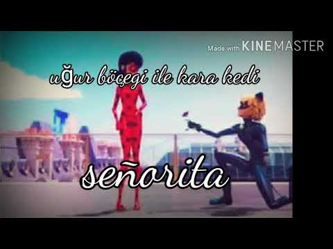Uğur böçeki ve kara kedi (senõrita)