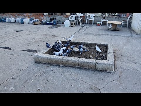 Kaldigi Yerden Devam