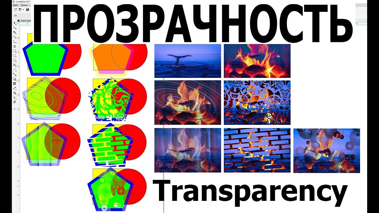 Как применить инструмент прозрачность, tool Transparency CorelDraw ...